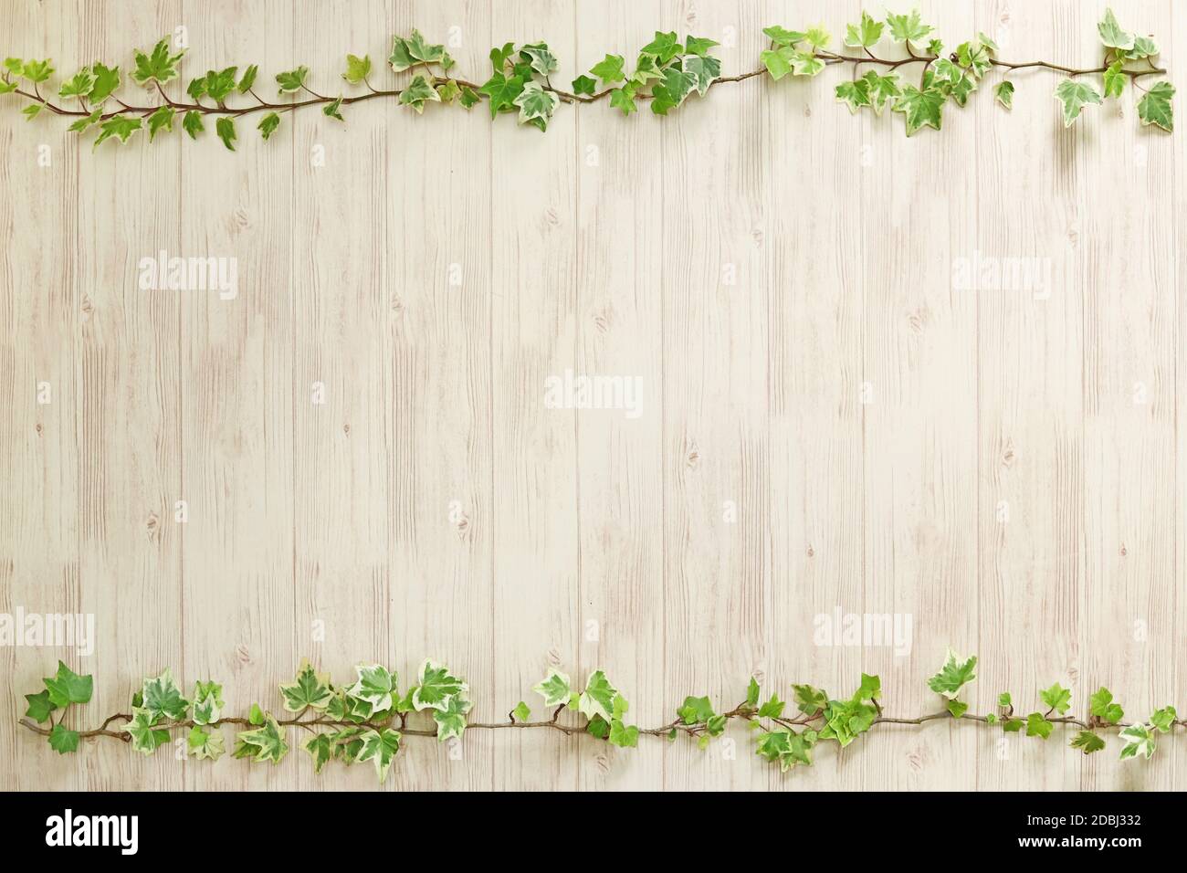 English ivy border frame, background image on wooden board Stock Photo ...