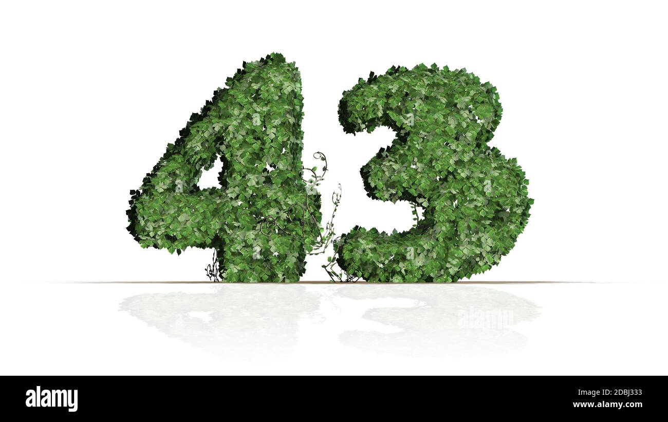 Number 43 created of green ivy leaves - isolated on a white background ...