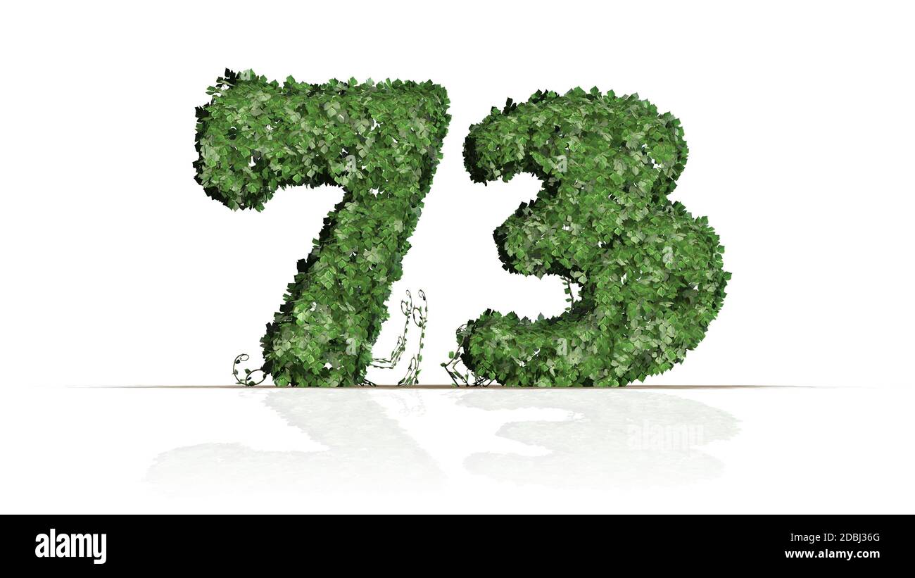 Number 73 created of green ivy leaves - isolated on a white background ...