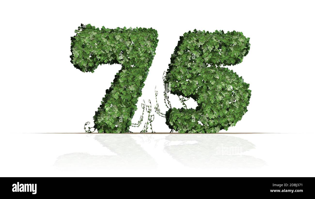 Number 75 created of green ivy leaves - isolated on a white background ...