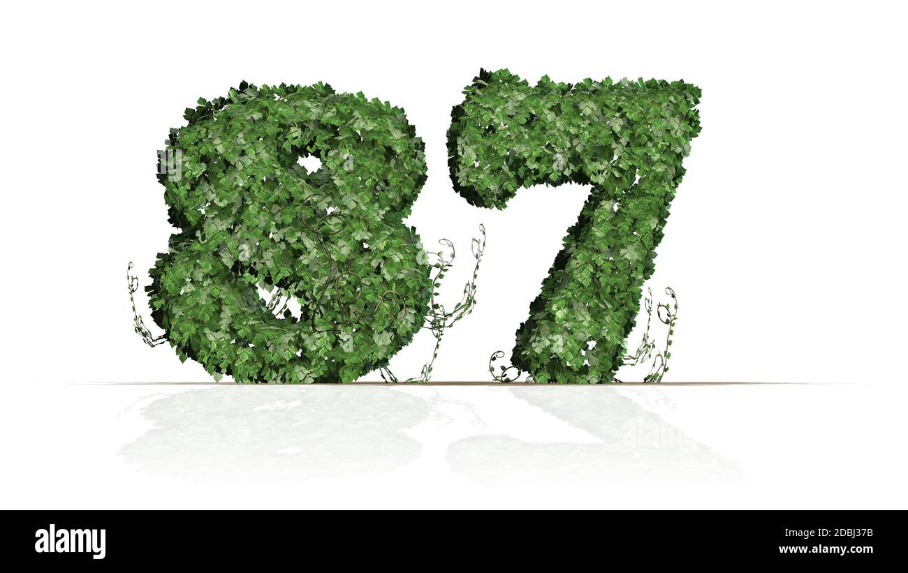 Number 87 created of green ivy leaves - isolated on a white background ...