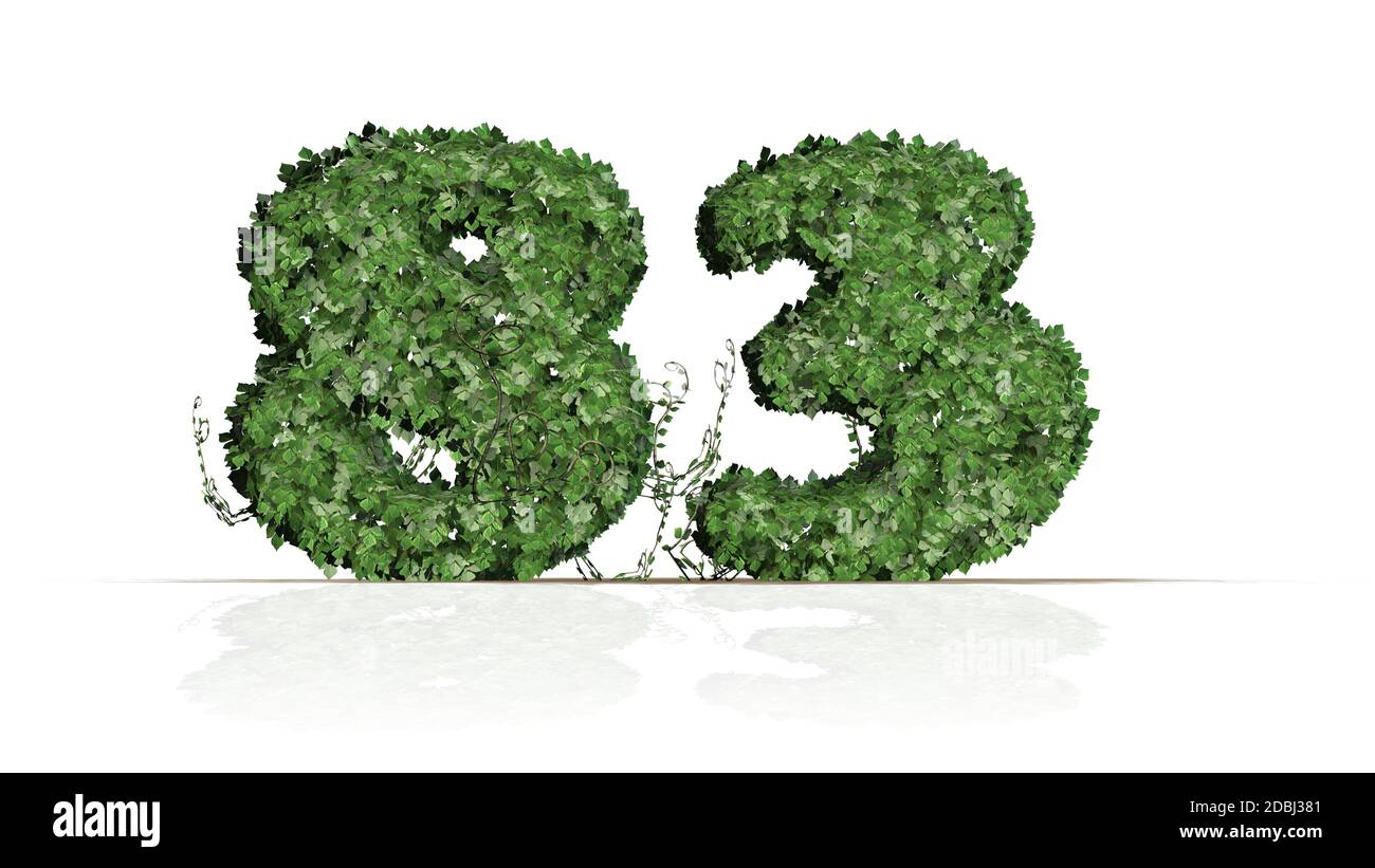 Number 83 created of green ivy leaves - isolated on a white background ...