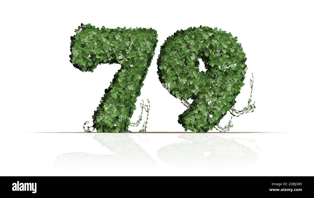 Number 79 created of green ivy leaves - isolated on a white background ...