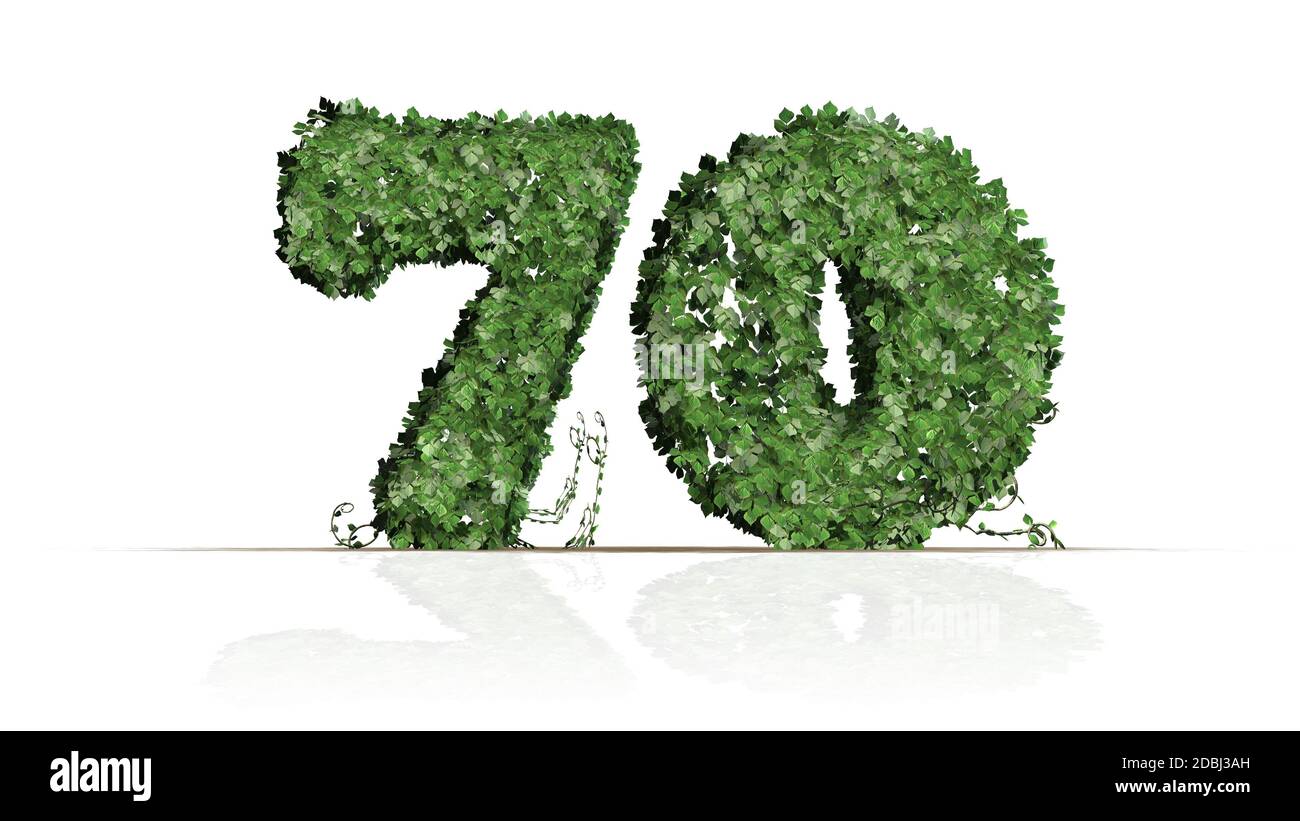Number 70 created of green ivy leaves - isolated on a white background ...