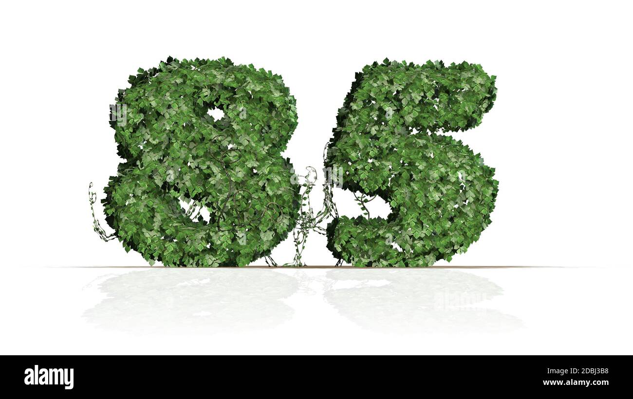 Number 85 created of green ivy leaves - isolated on a white background ...