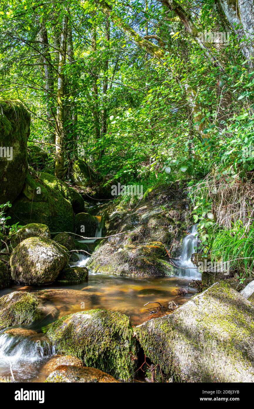 Small waterfall in the forest Stock Photo - Alamy