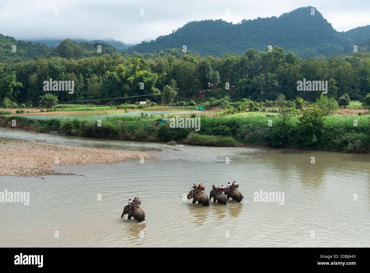 Riding Asian elephants near Luang Prabang, Laos, Indochina, Southeast ...