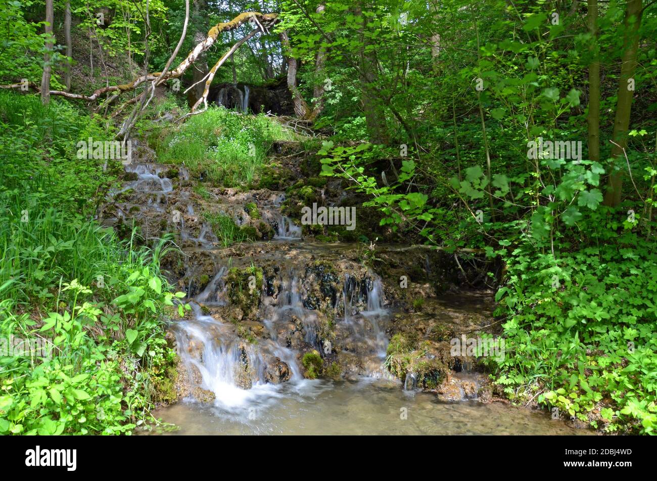 small waterfall in a wide nature Stock Photo - Alamy