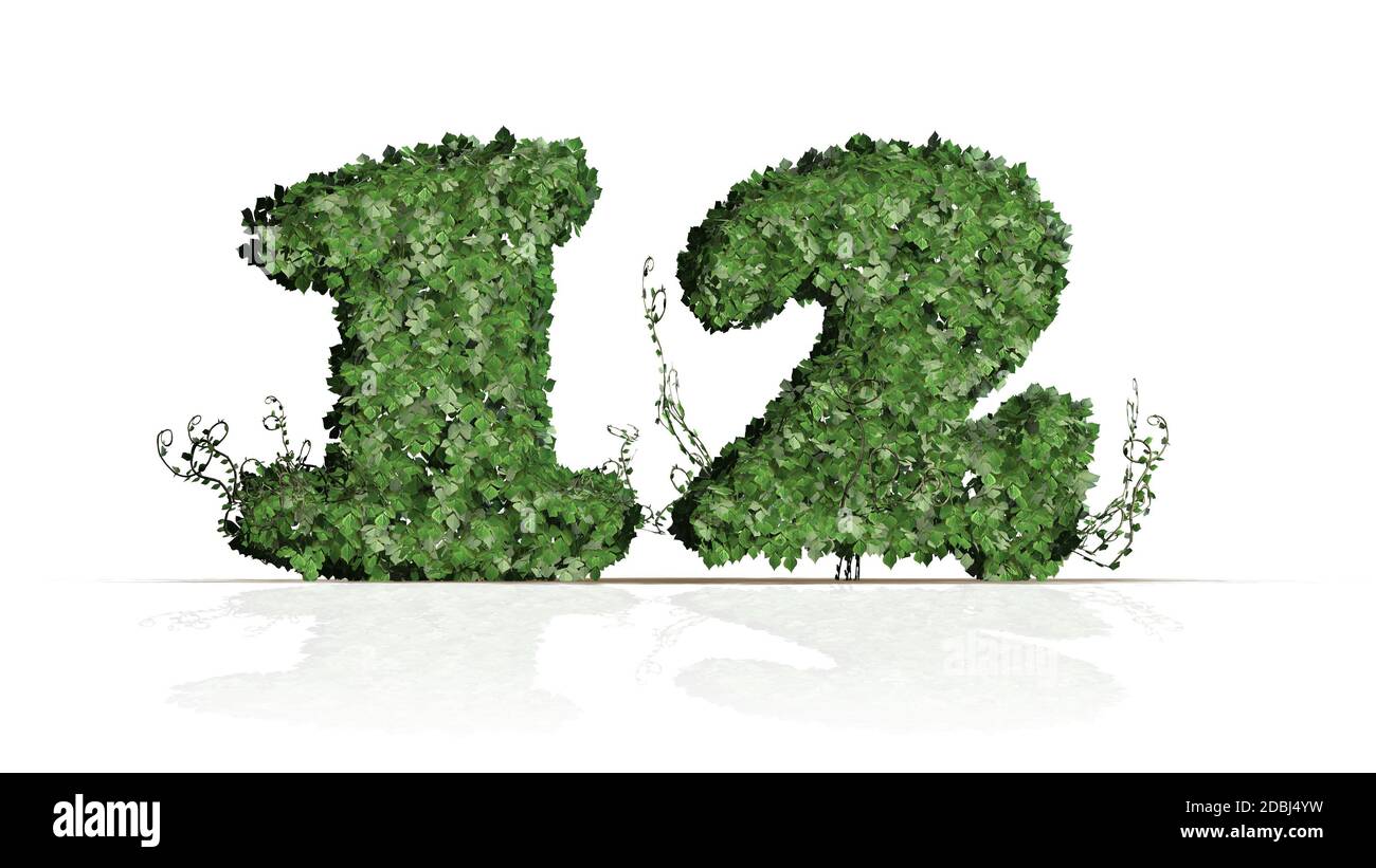 Number 12 created of green ivy leaves - isolated on a white background ...