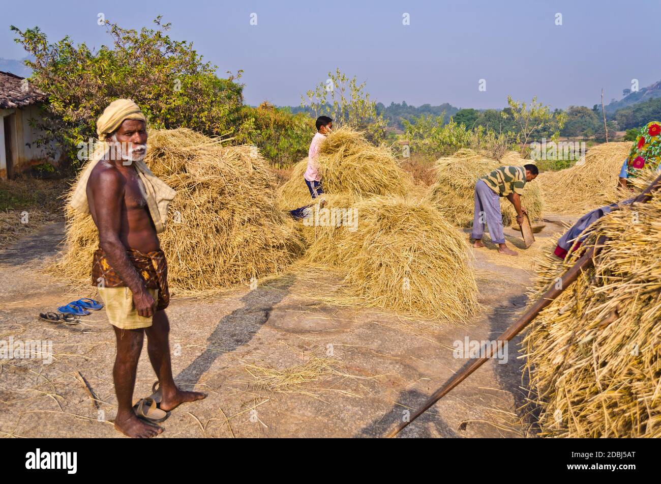 Indian Farmer Working In Farm High Resolution Stock Photography and ...