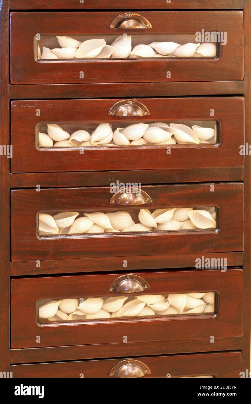 Big wooden drawer cabinet filled with pasta Stock Photo - Alamy