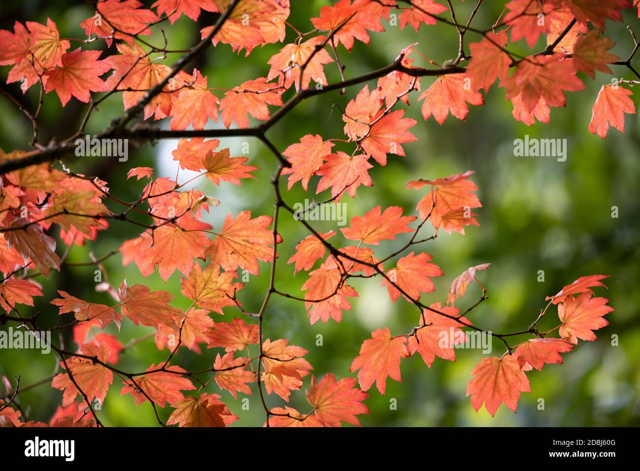In the shades hi-res stock photography and images - Alamy