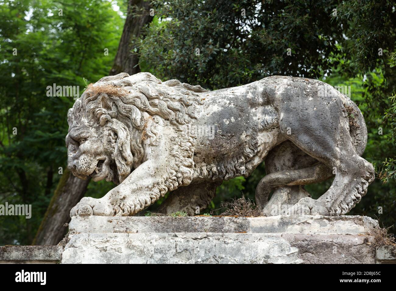 Lion sculpture in Garden of Villa Borghese. Rome, Italy Stock Photo - Alamy