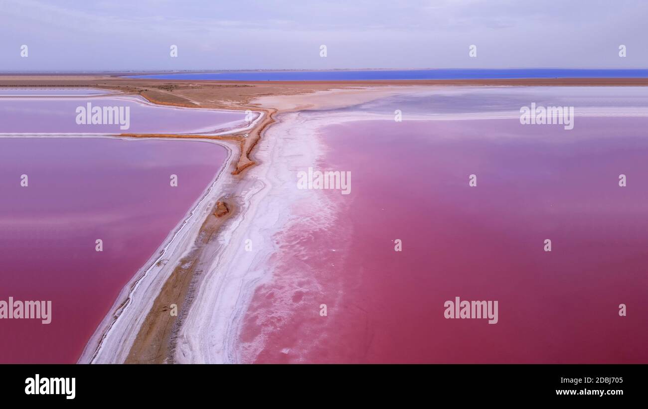 Pink Salt Lake. The picturesque shore of the lagoon is covered with a ...