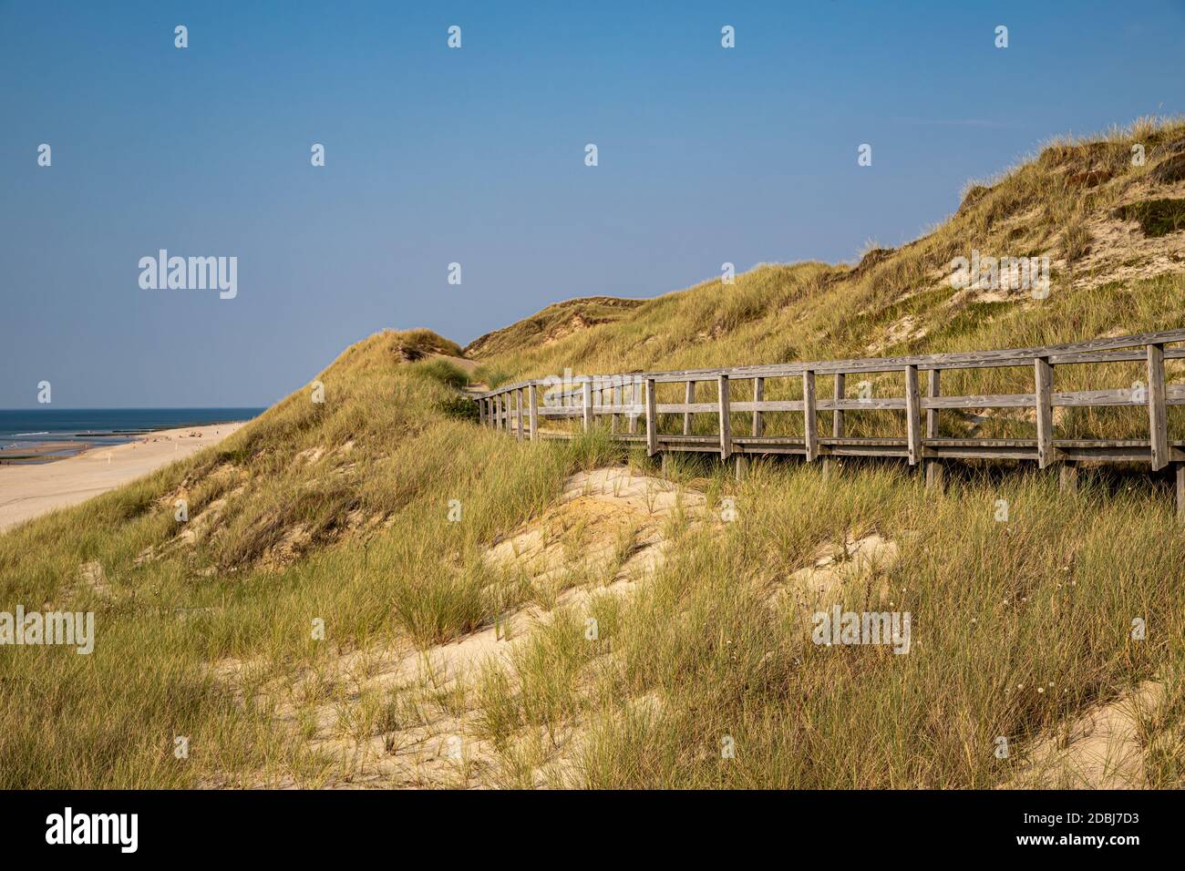 On the red cliff of kampen hi-res stock photography and images - Alamy