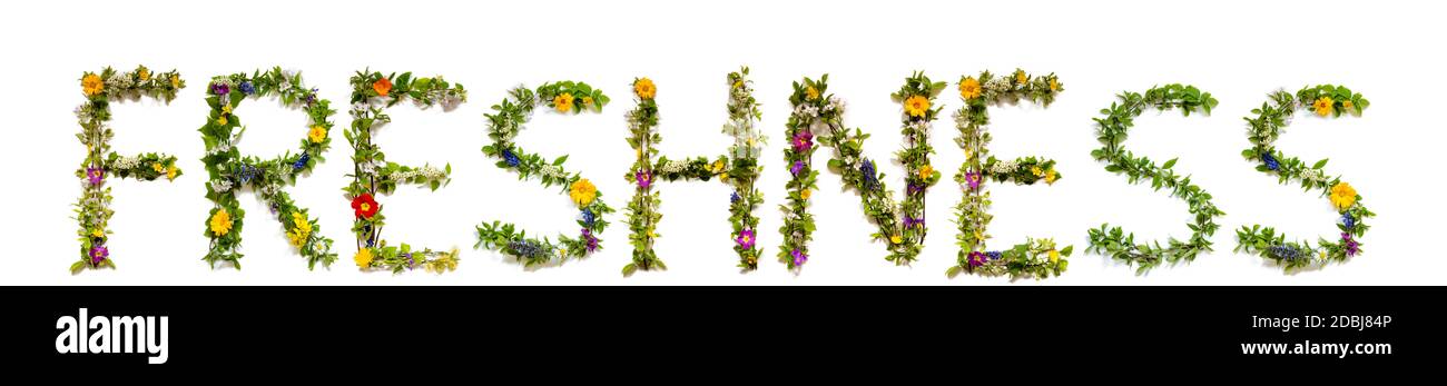 Flower, Branches And Blossom Letter Building English Word Freshness ...