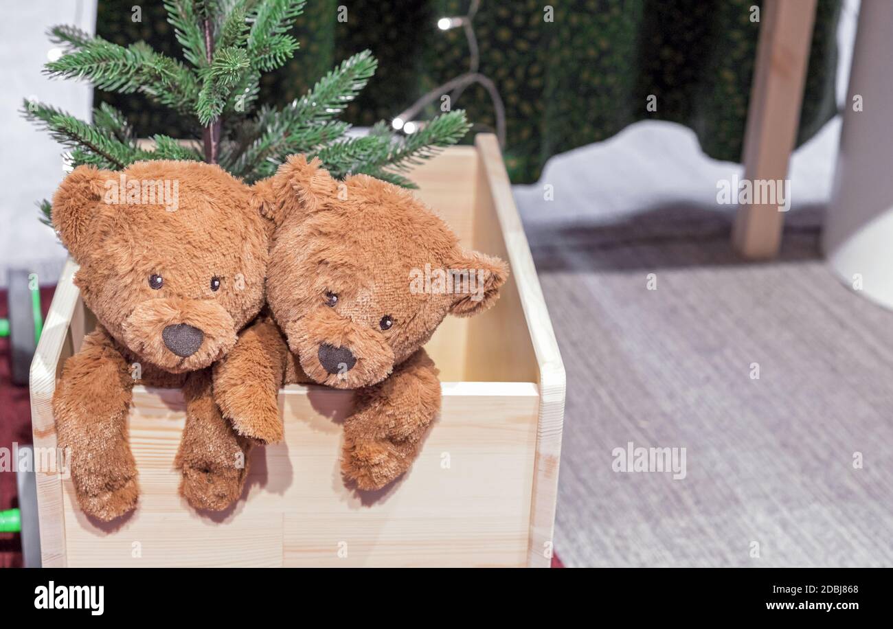 Two teddy bears hi-res stock photography and images - Alamy
