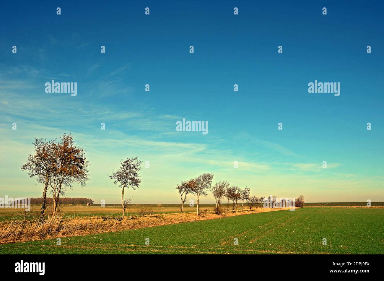 Spring row hi-res stock photography and images - Alamy
