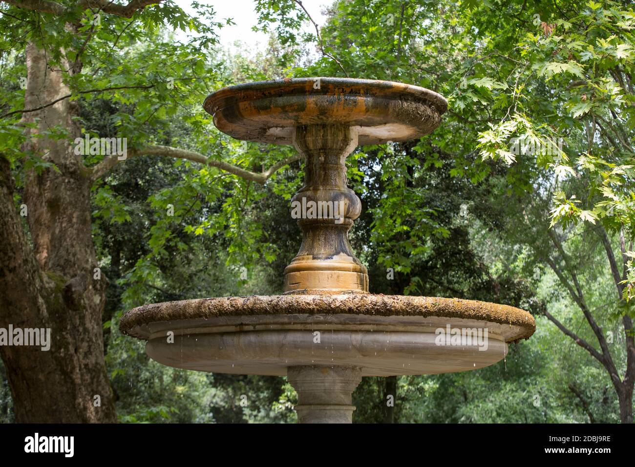 Fountain in orange garden rome hi-res stock photography and images - Alamy