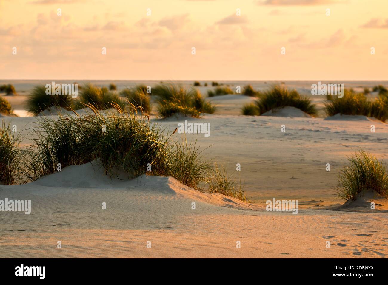 Dunegrass hi-res stock photography and images - Alamy