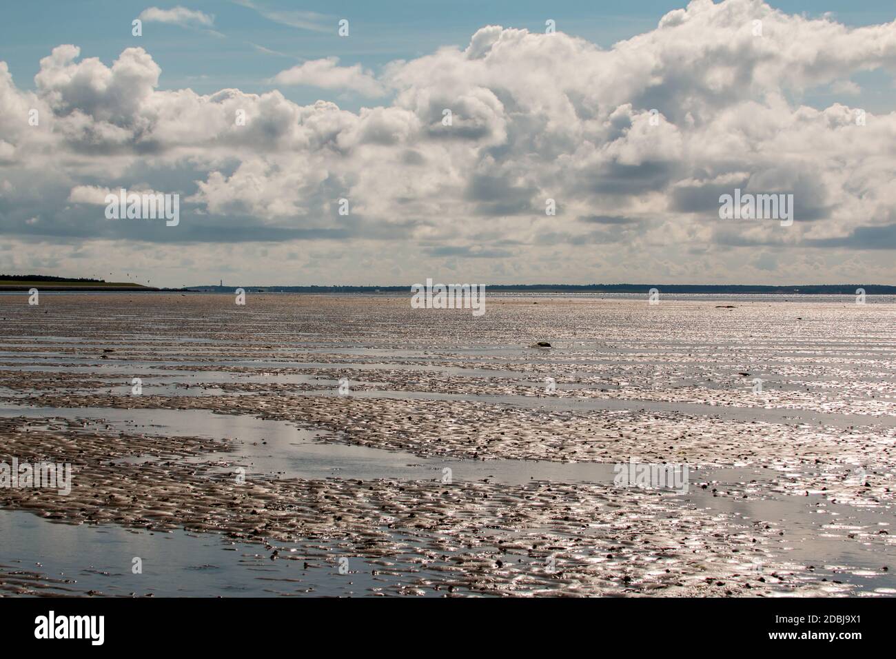 Fohr amrum hi-res stock photography and images - Alamy