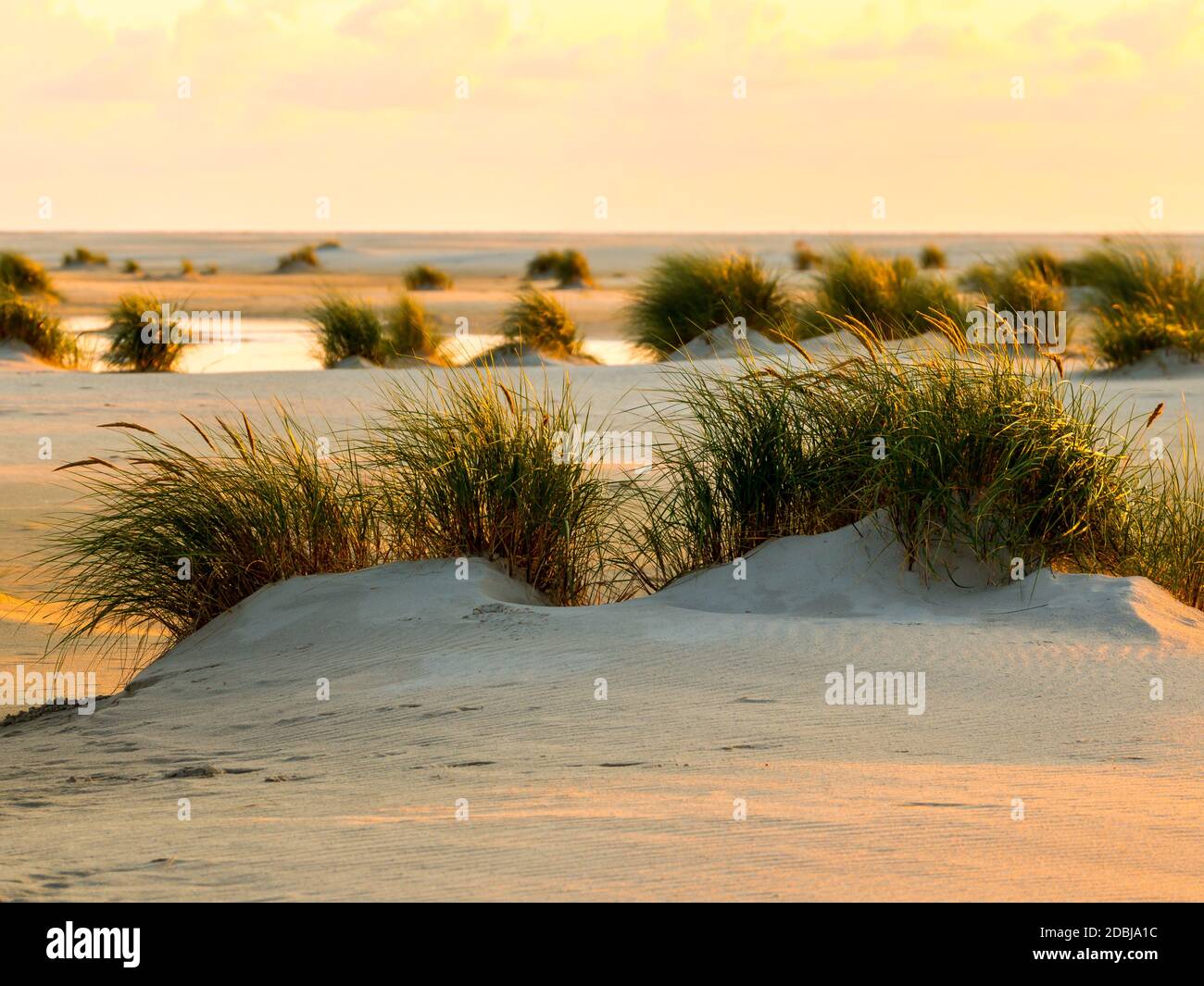 Dunegrass hi-res stock photography and images - Alamy