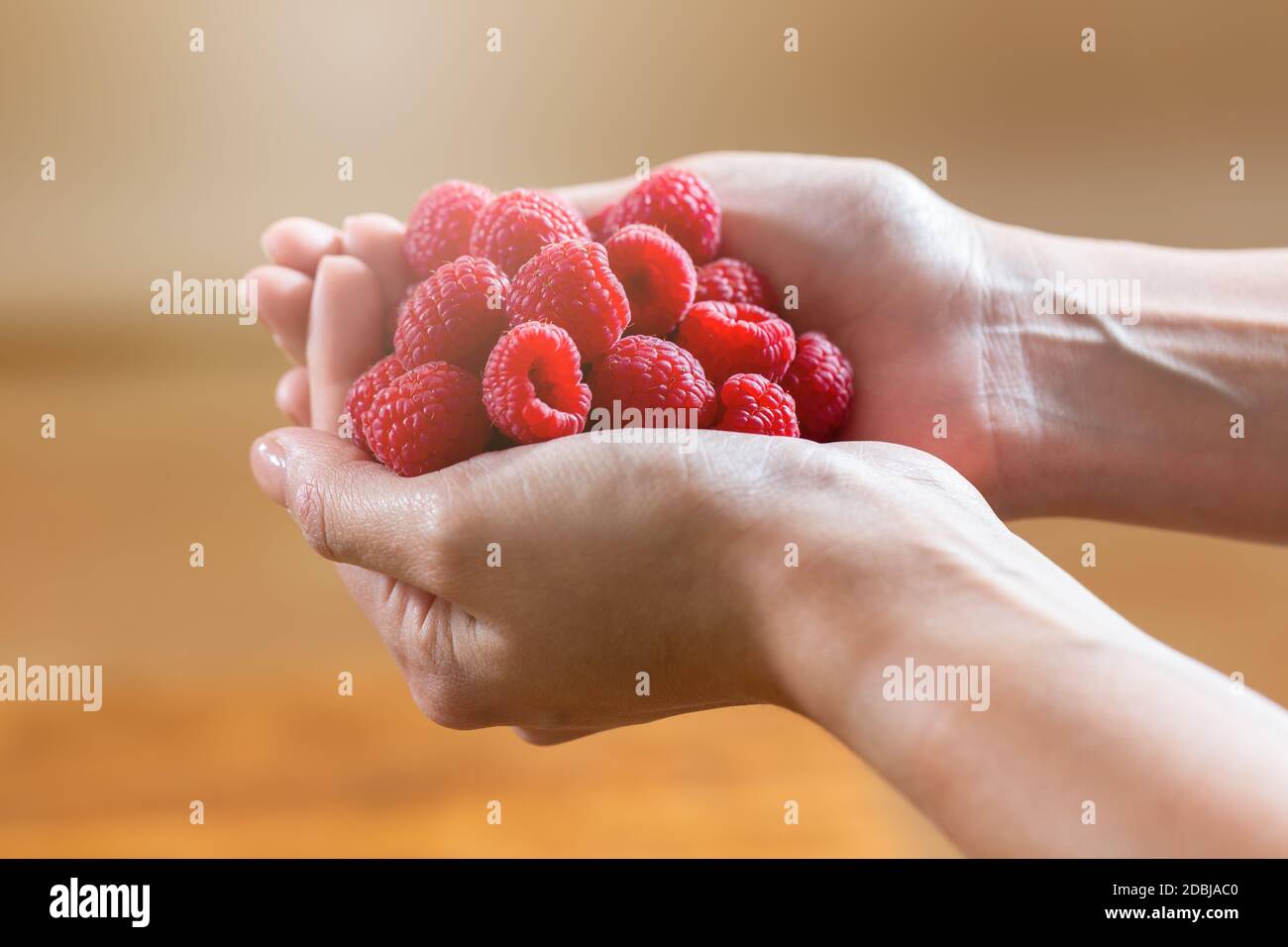 Red raspberries inside two woman hands in horizontal composition Stock ...