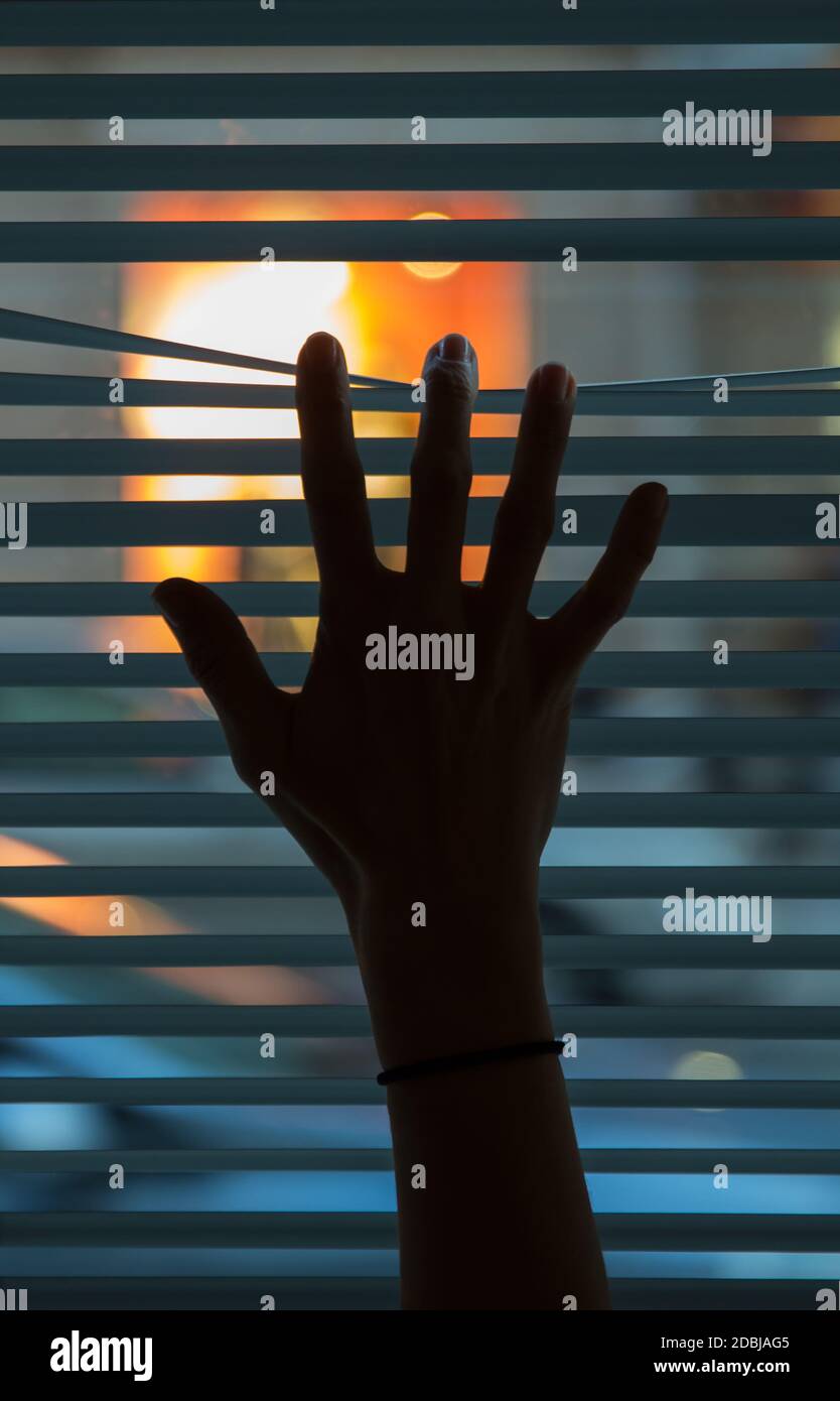 Female hand separating slats of venetian blinds to look through ...
