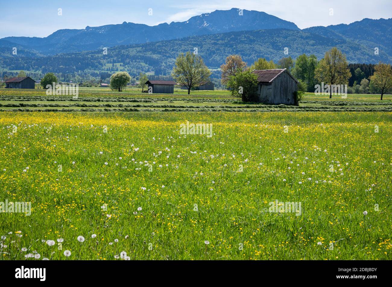 Farming meadow hi-res stock photography and images - Alamy