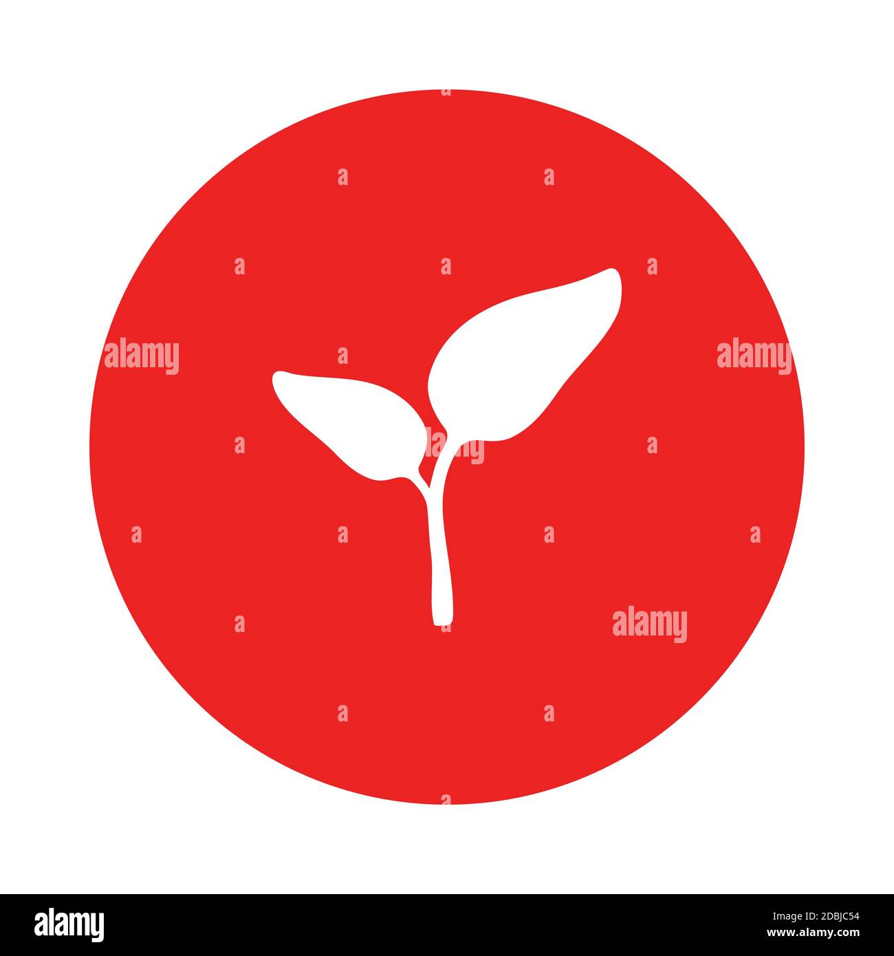Plant and circle Stock Photo - Alamy