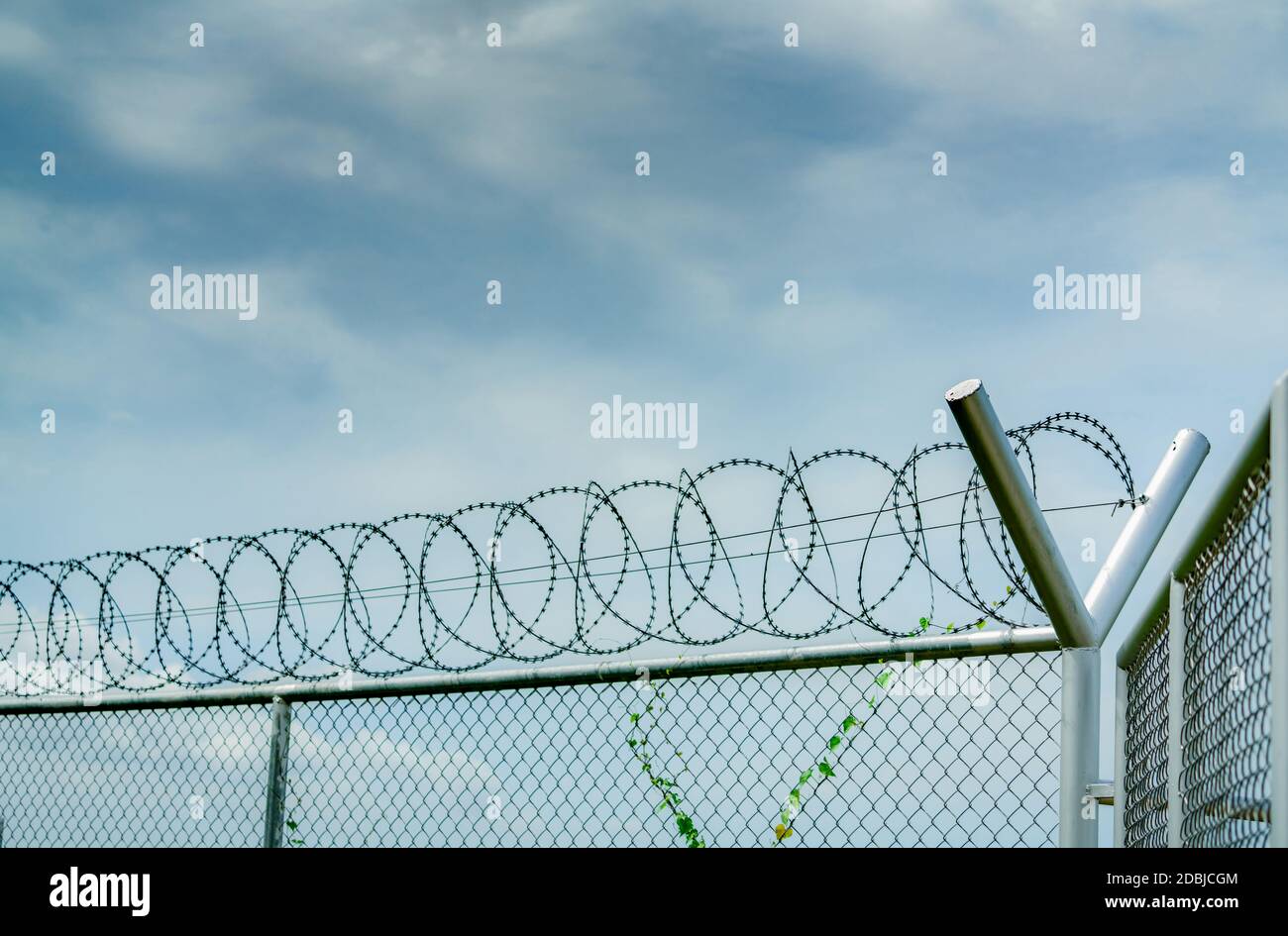 Prison security fence. Barbed wire security fence. Razor wire jail ...