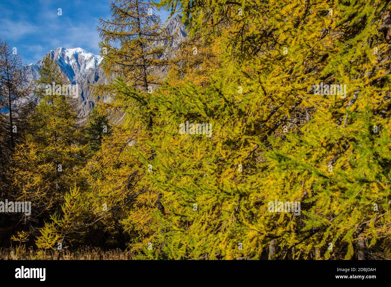 Refuge bonatti hi-res stock photography and images - Alamy