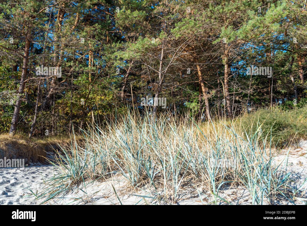 Prora beach resort hi-res stock photography and images - Alamy