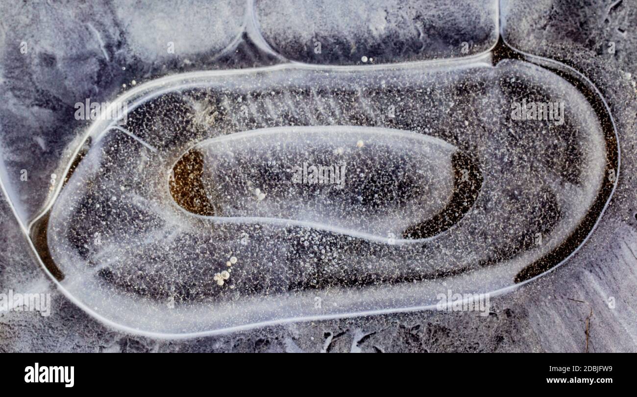 Background texture of bubbles in ice sheet Stock Photo - Alamy