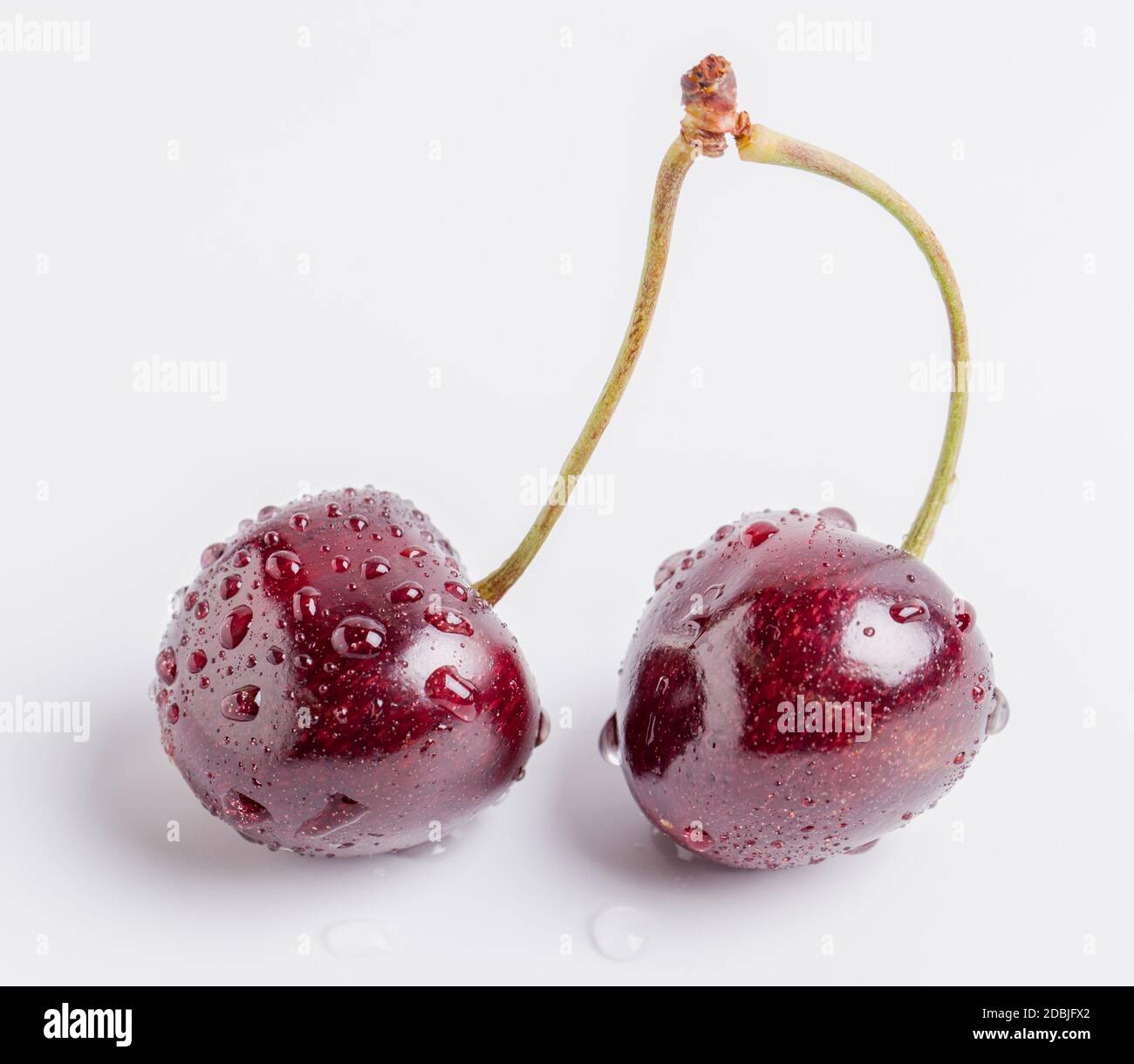 Wet Double Cherry Stem on white background Stock Photo - Alamy