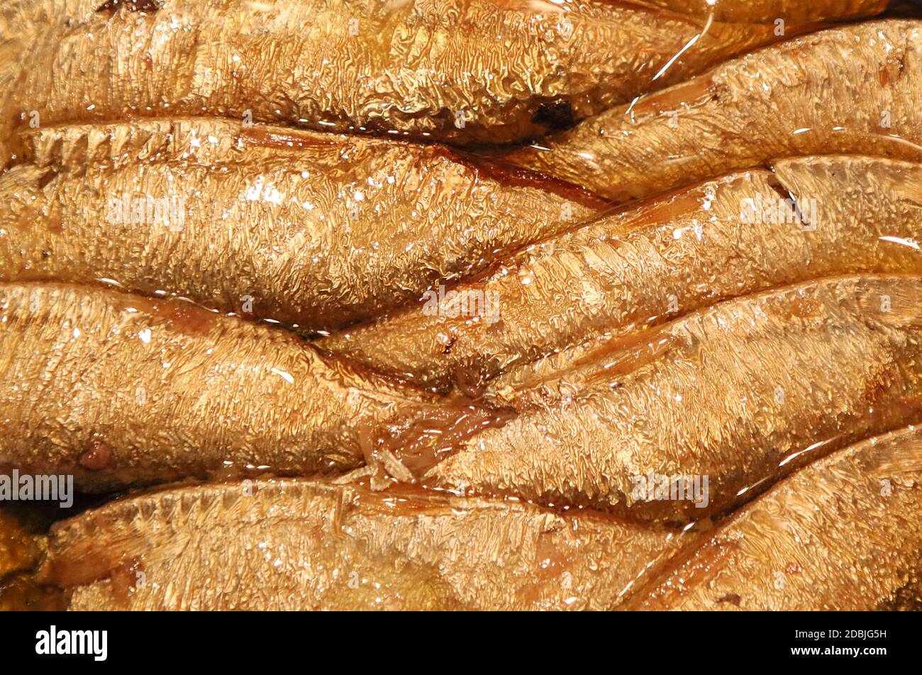Canned smoked fish sprats in vegetable oil Stock Photo - Alamy