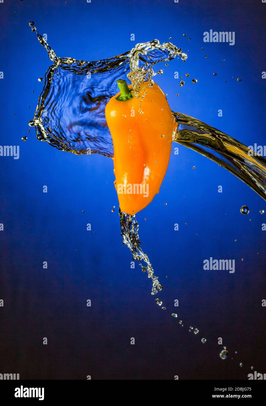 Water Splashing on Orange Mini Pepper Stock Photo - Alamy