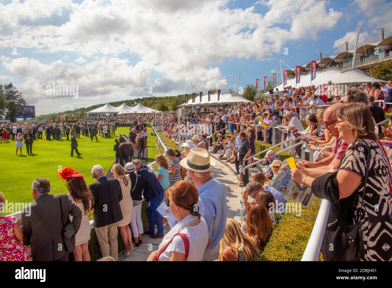 Goodwood racecourse hi-res stock photography and images - Alamy