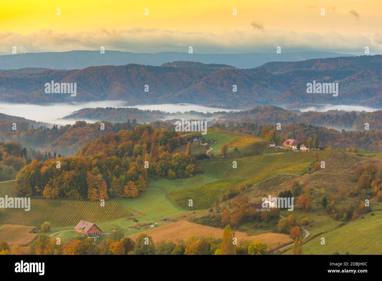 Autumn landscape with South Styria vineyards,known as Austrian Tuscany ...