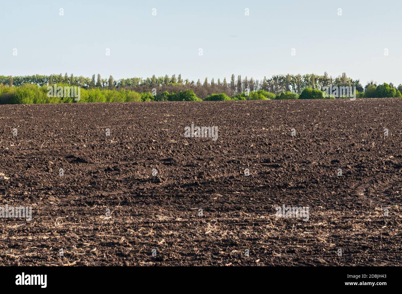 Black chernozemic soil hi-res stock photography and images - Alamy