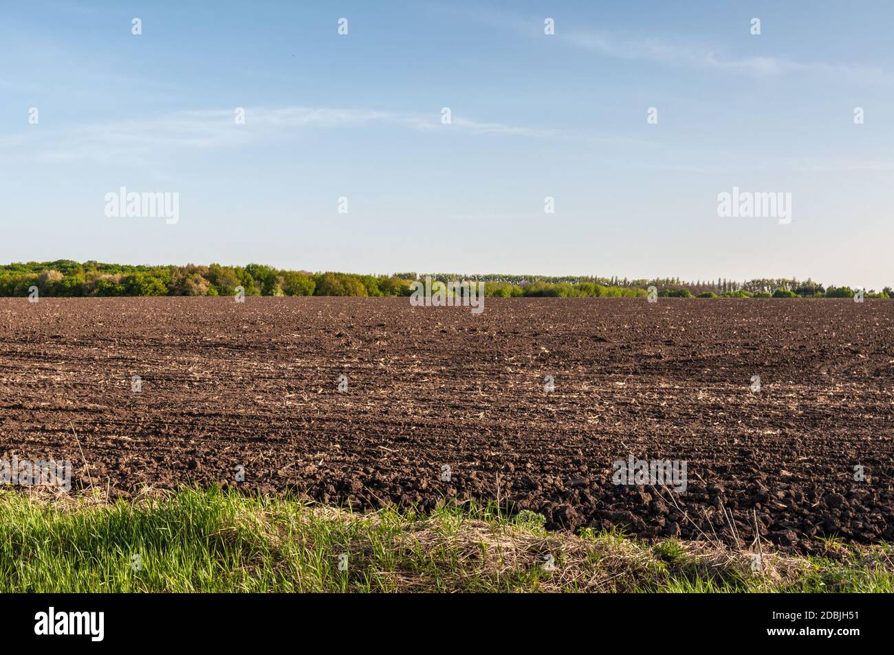 Black chernozemic soil hi-res stock photography and images - Alamy