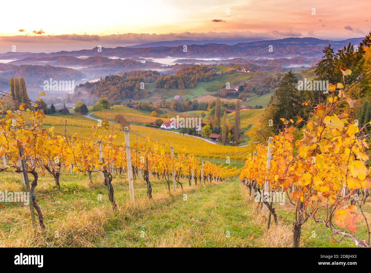 Autumn landscape with South Styria vineyards,known as Austrian Tuscany ...