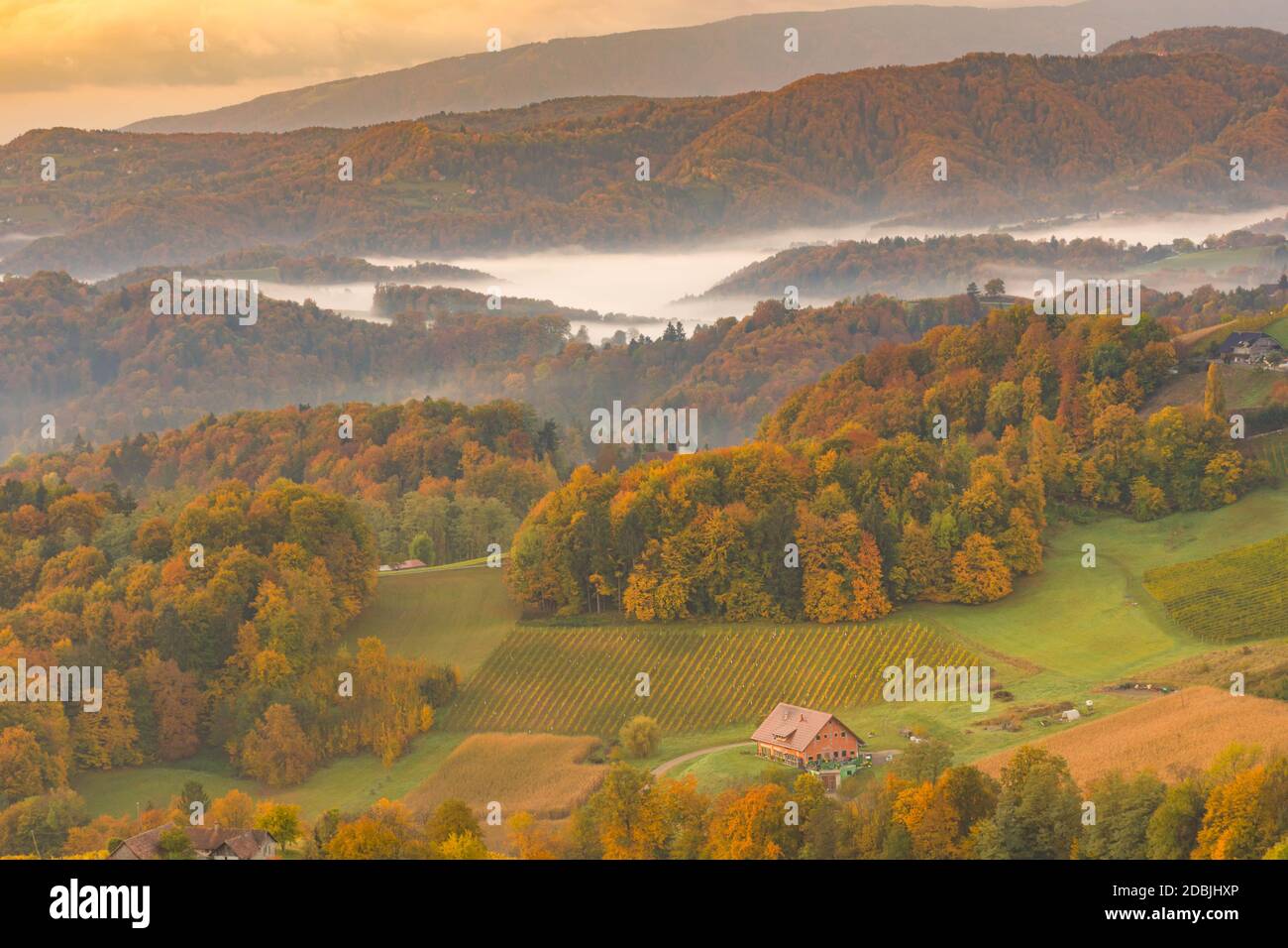 Autumn landscape with South Styria vineyards,known as Austrian Tuscany ...