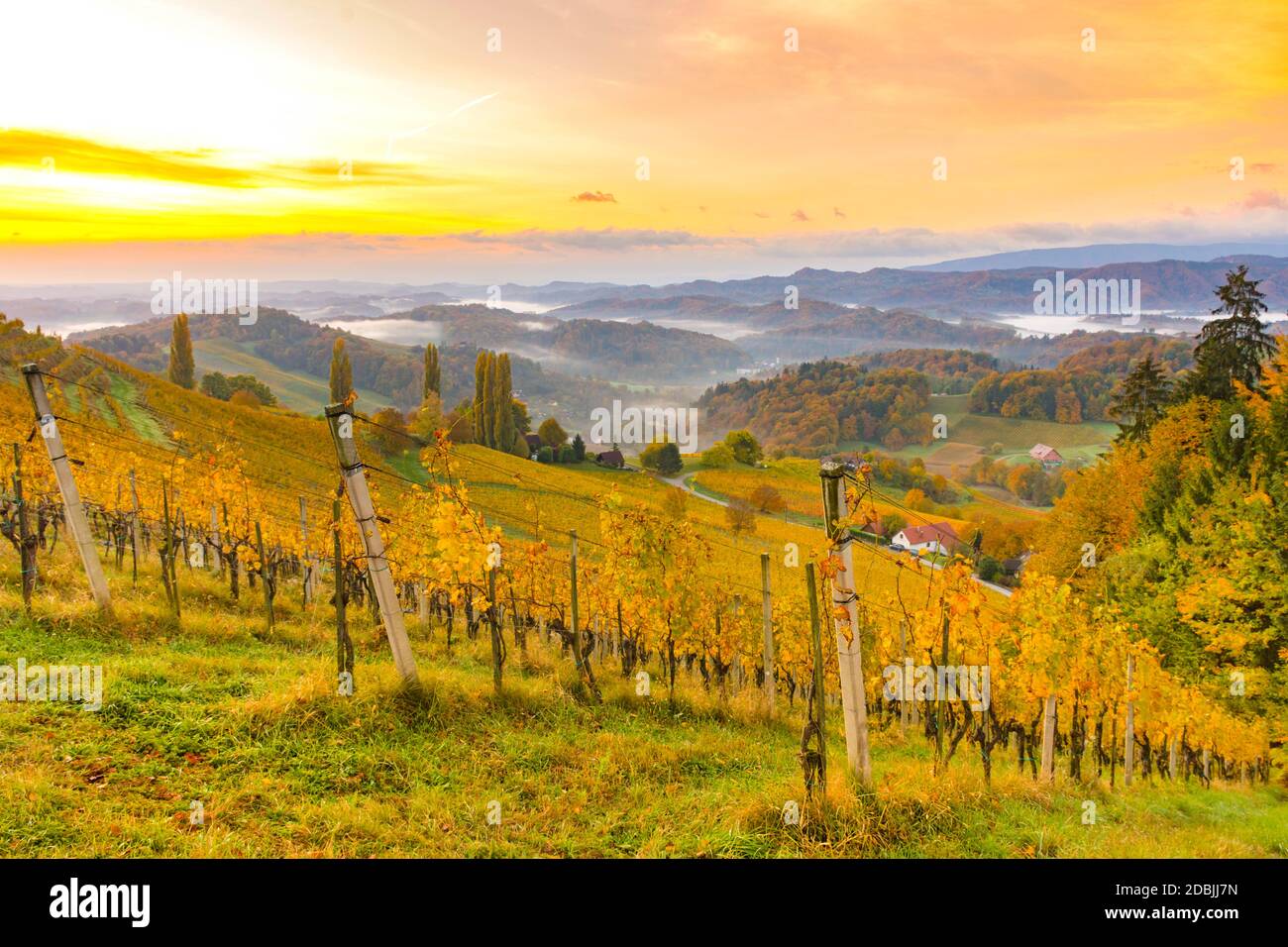 Autumn landscape with South Styria vineyards,known as Austrian Tuscany ...