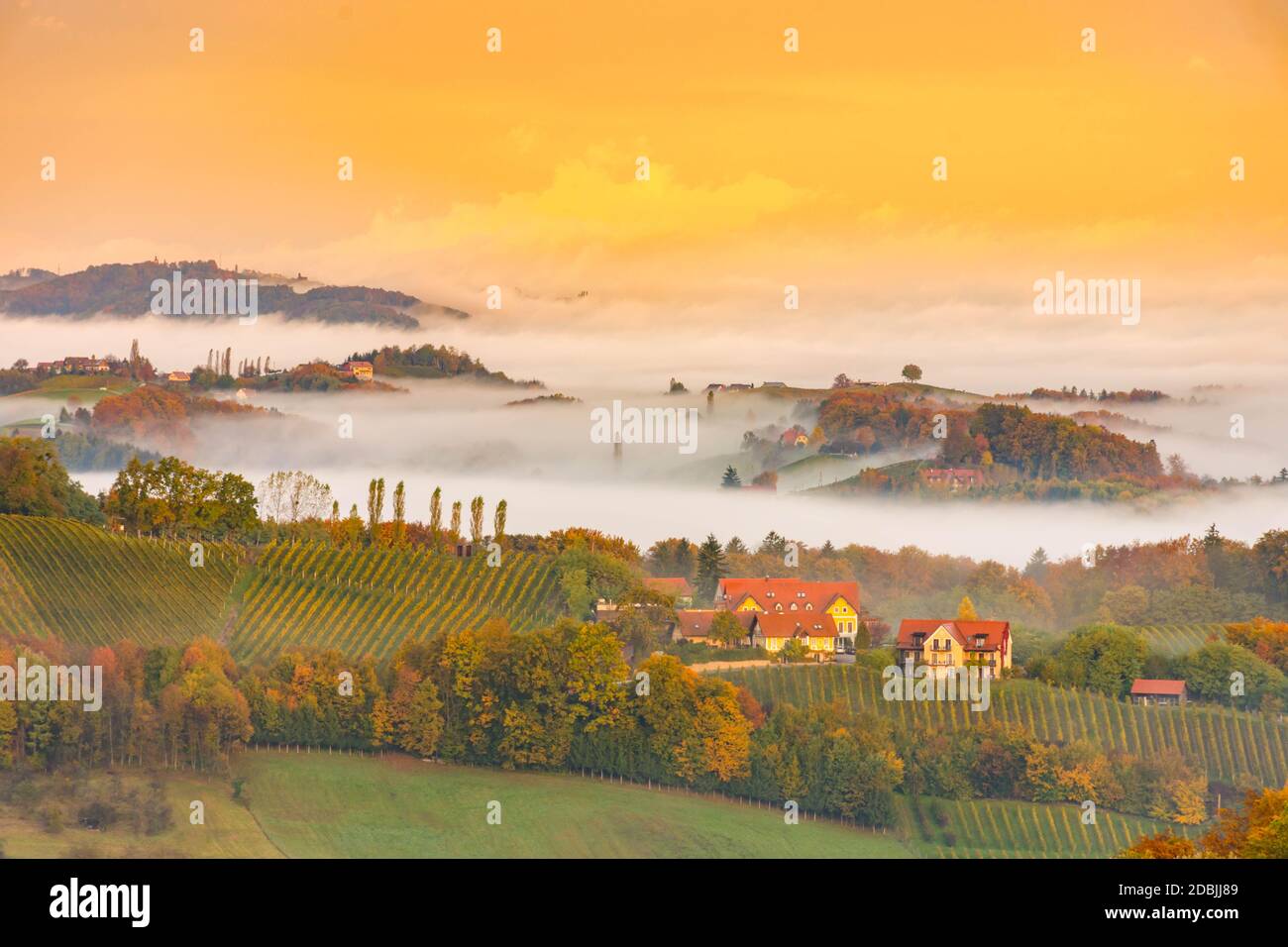Autumn landscape with South Styria vineyards,known as Austrian Tuscany ...