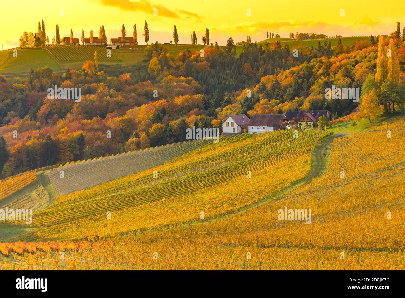 Autumn landscape with South Styria vineyards,known as Austrian Tuscany ...
