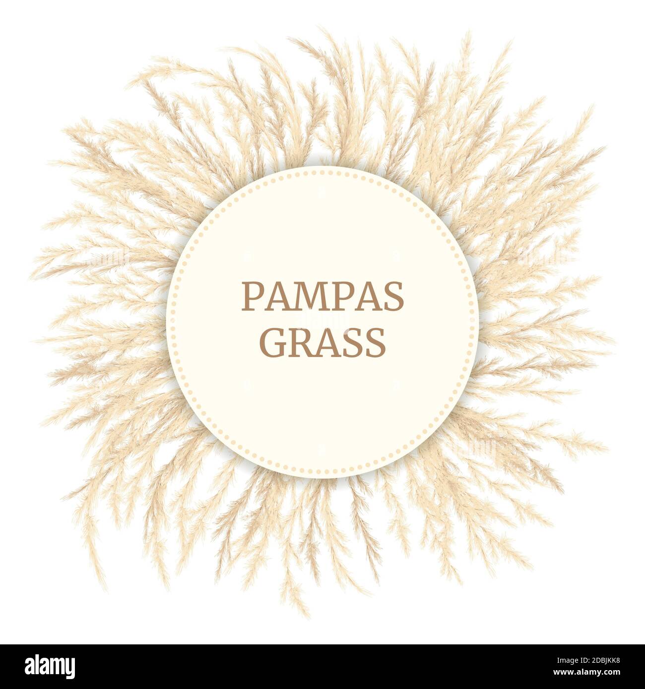 Silver golden Pampas grass Card template with copy space. Vector ...