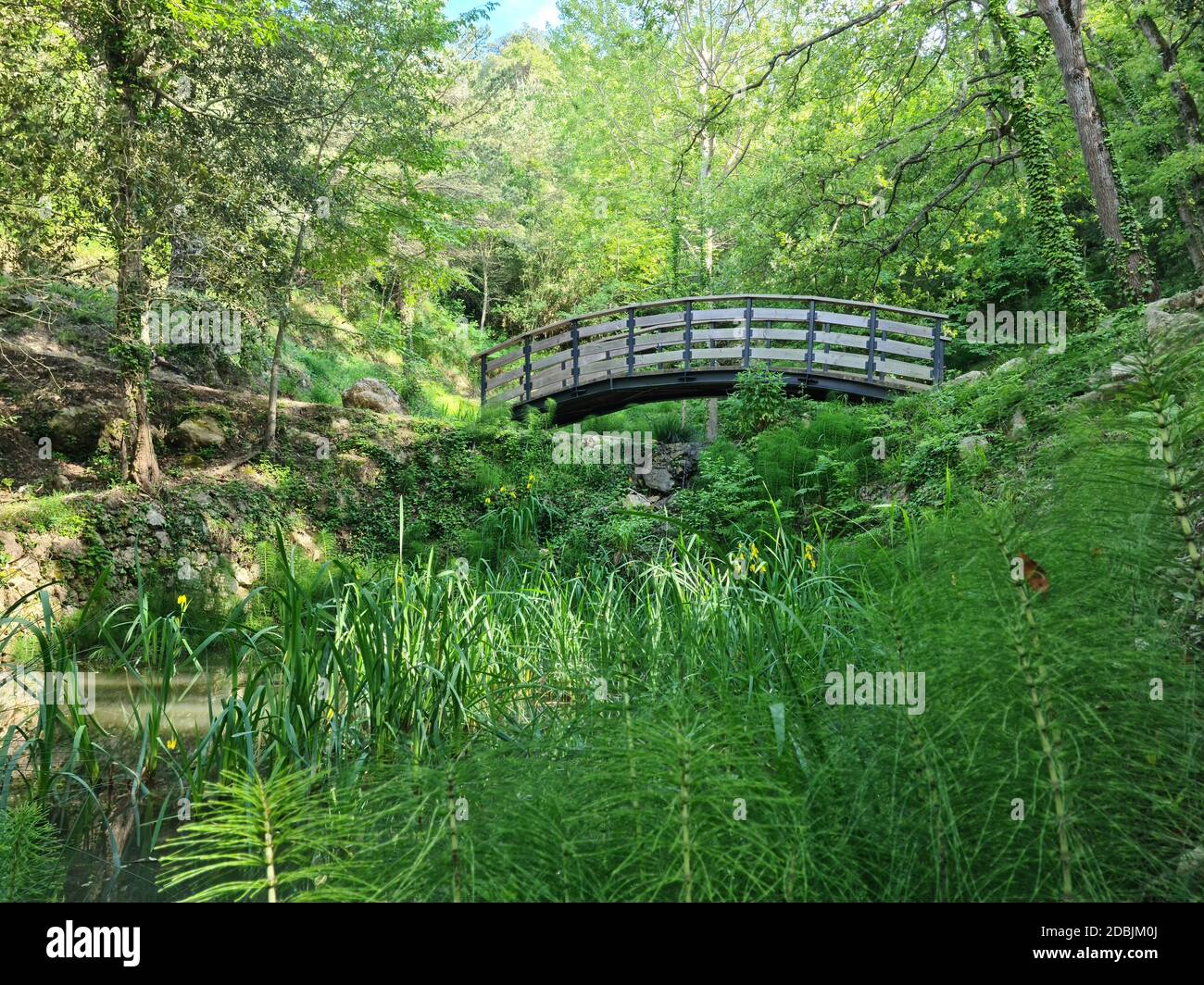 Small Wooden Bridge In Nature, French Alps Mountain, Alpes-Maritimes ...