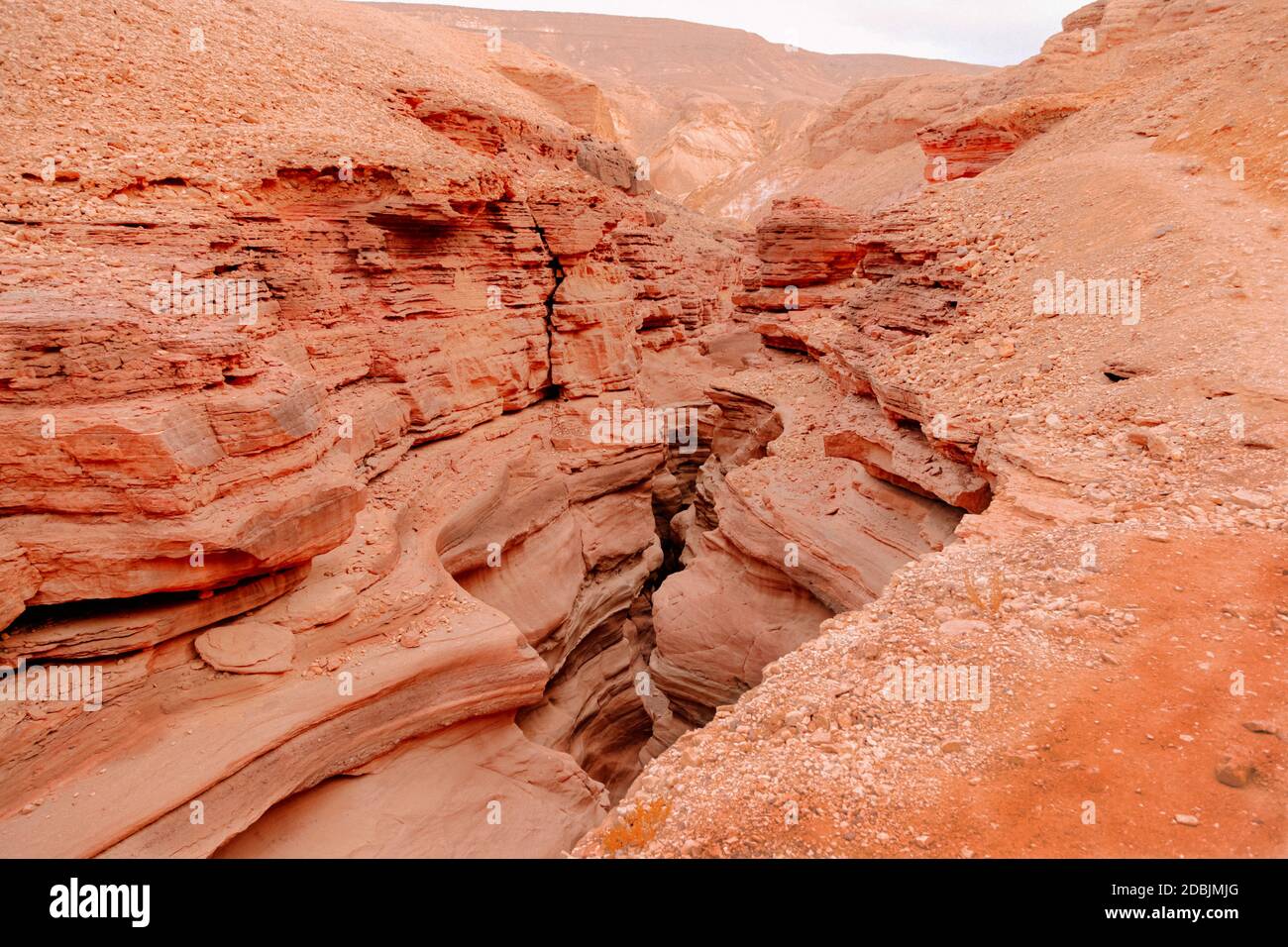 The red sand rocks in Timna park, Israel. Horizontal view Stock Photo ...