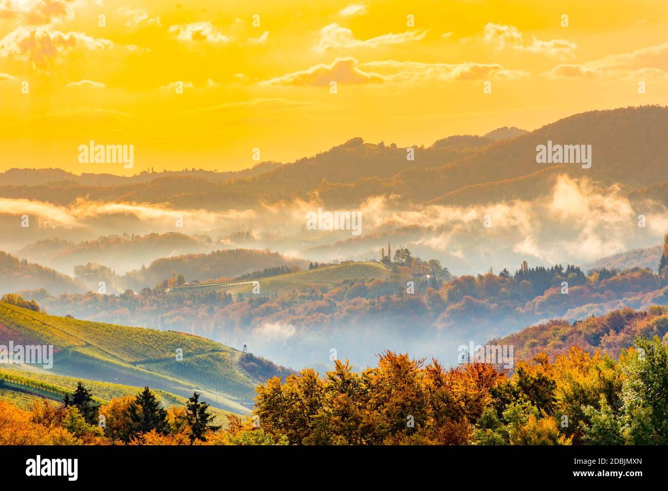 Autumn landscape with South Styria vineyards,known as Austrian Tuscany ...